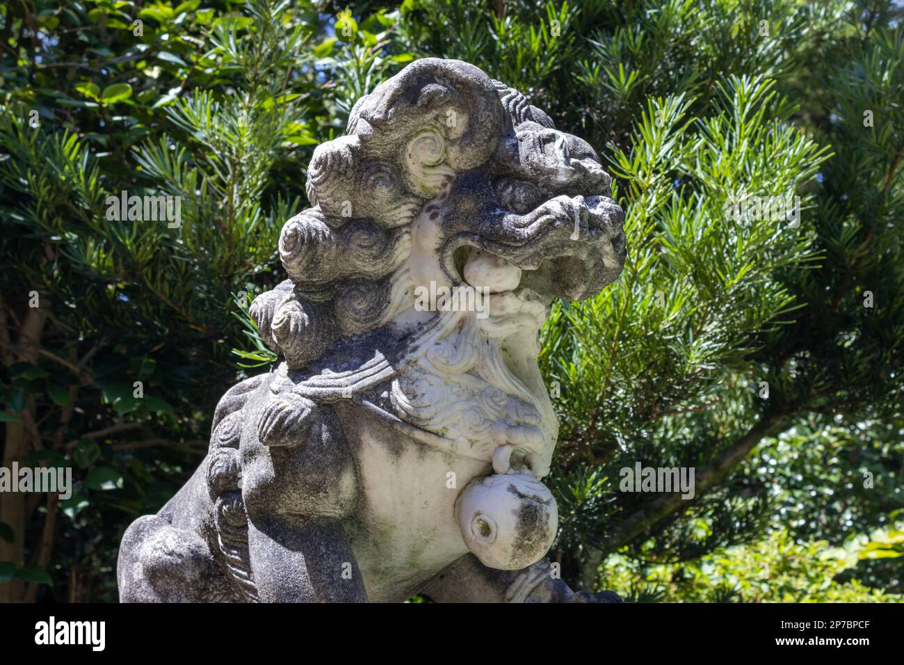 Komainu, or lion-dog, statue at Asanogawa inari jinja, Kanazawa, Japan ...