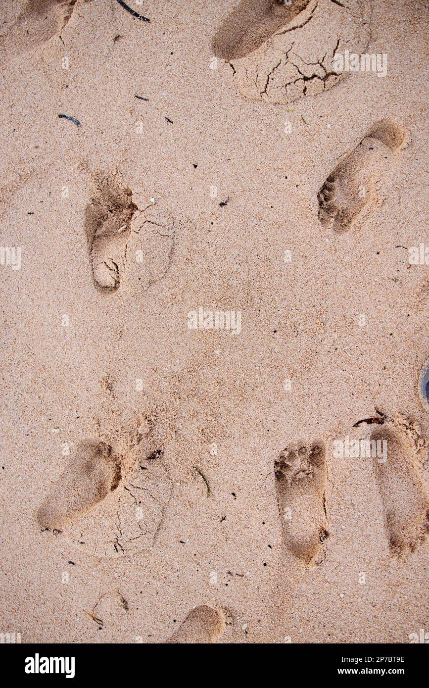 Footprints on the sand of the ocean, texture for a layout Stock Photo ...