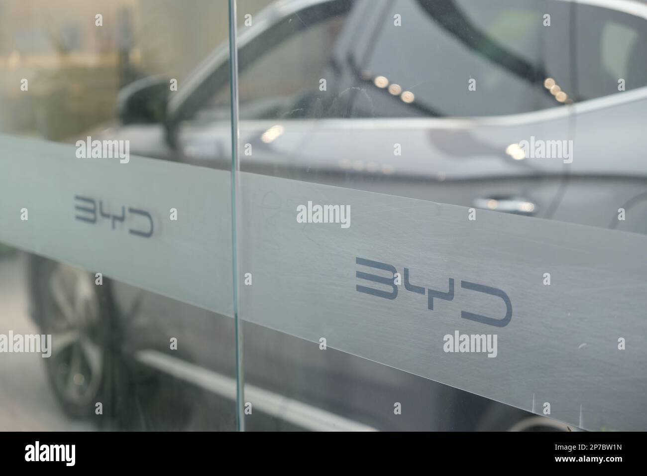 Shanghai,China-March.4th 2023: BYD brand logo and electric car in store ...