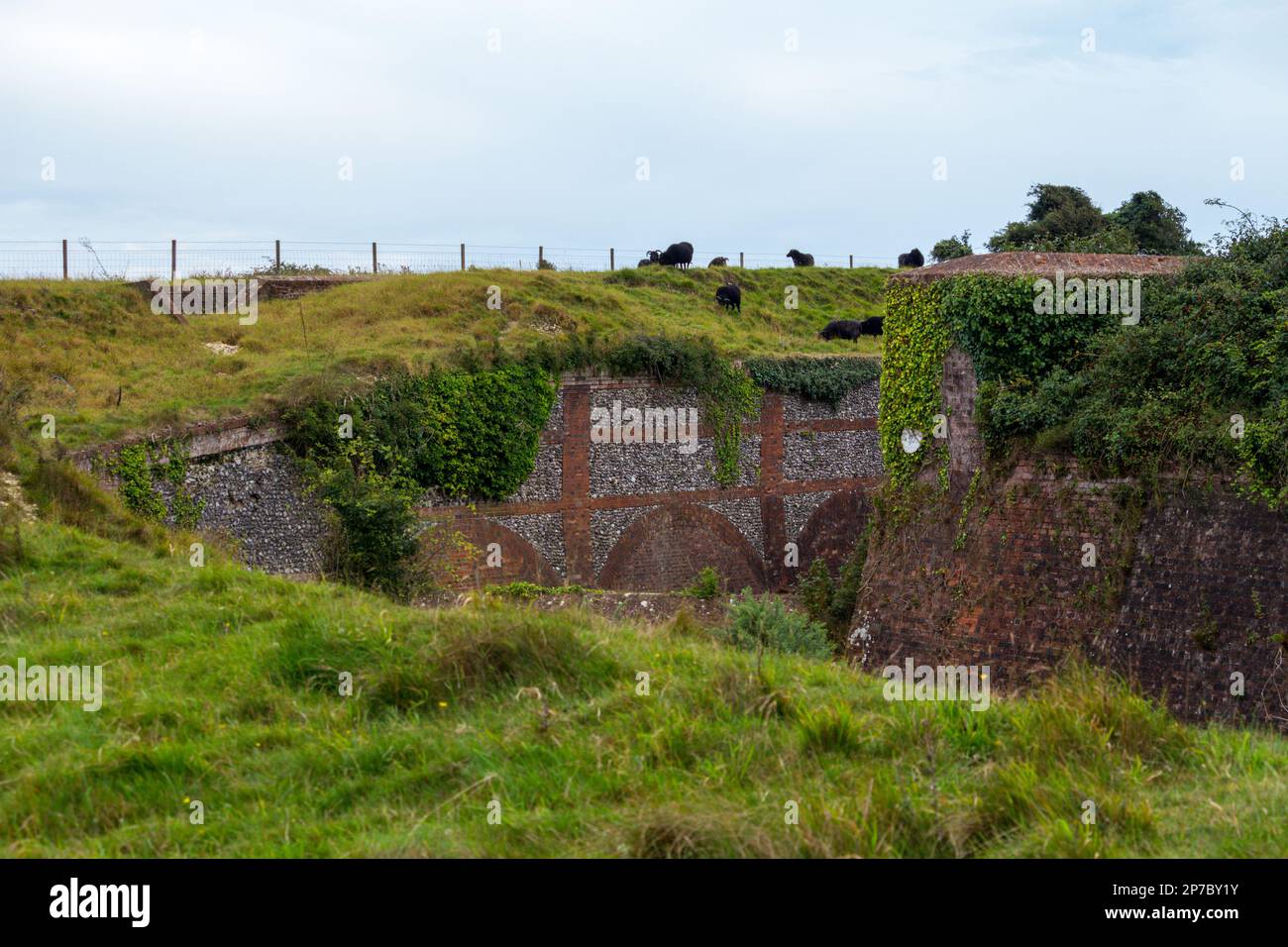 Culver down, isle of wight hi-res stock photography and images - Alamy