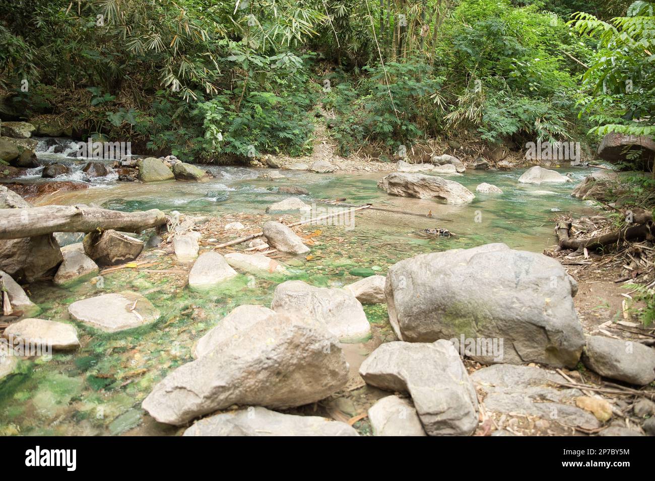 Peaceful shot of Malanage hot spring on Flores with green overgrown ...
