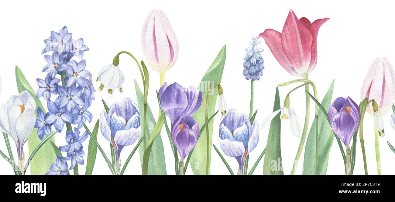 Seamless border of spring flowers and leaves painted in watercolor ...