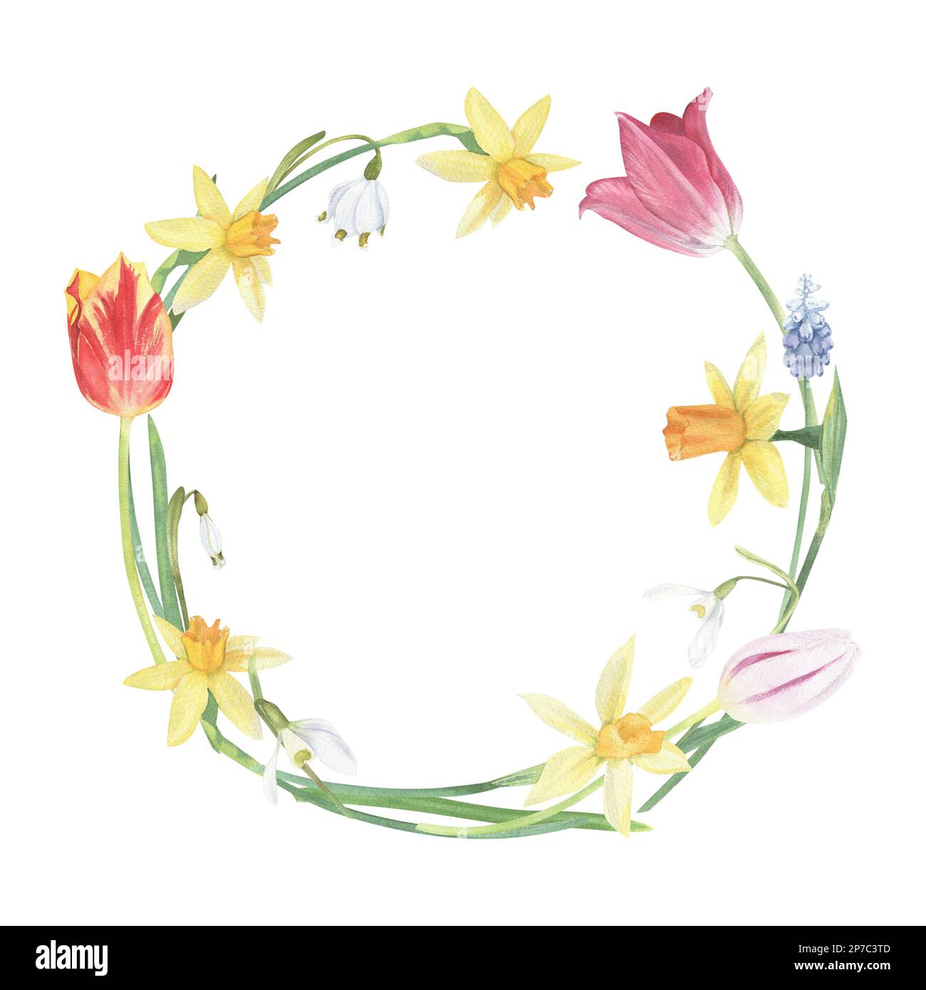 Wreath of spring flowers and leaves painted in watercolor Stock Photo ...