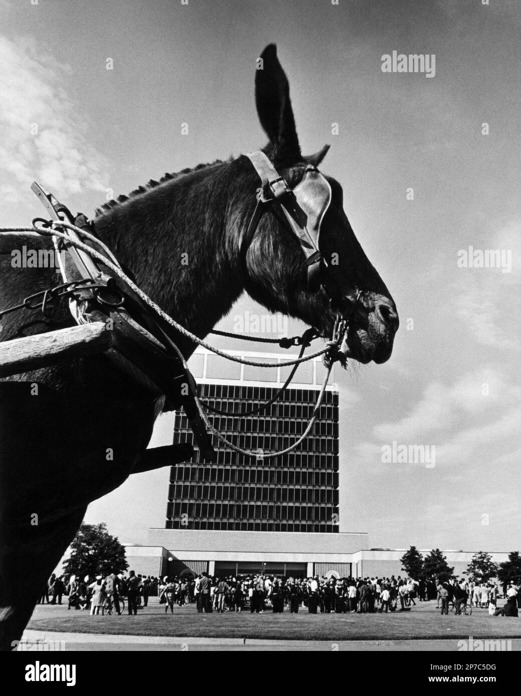 Poor People’s March, Norfolk, Va., May 18, 1968. Courtesy of the ...