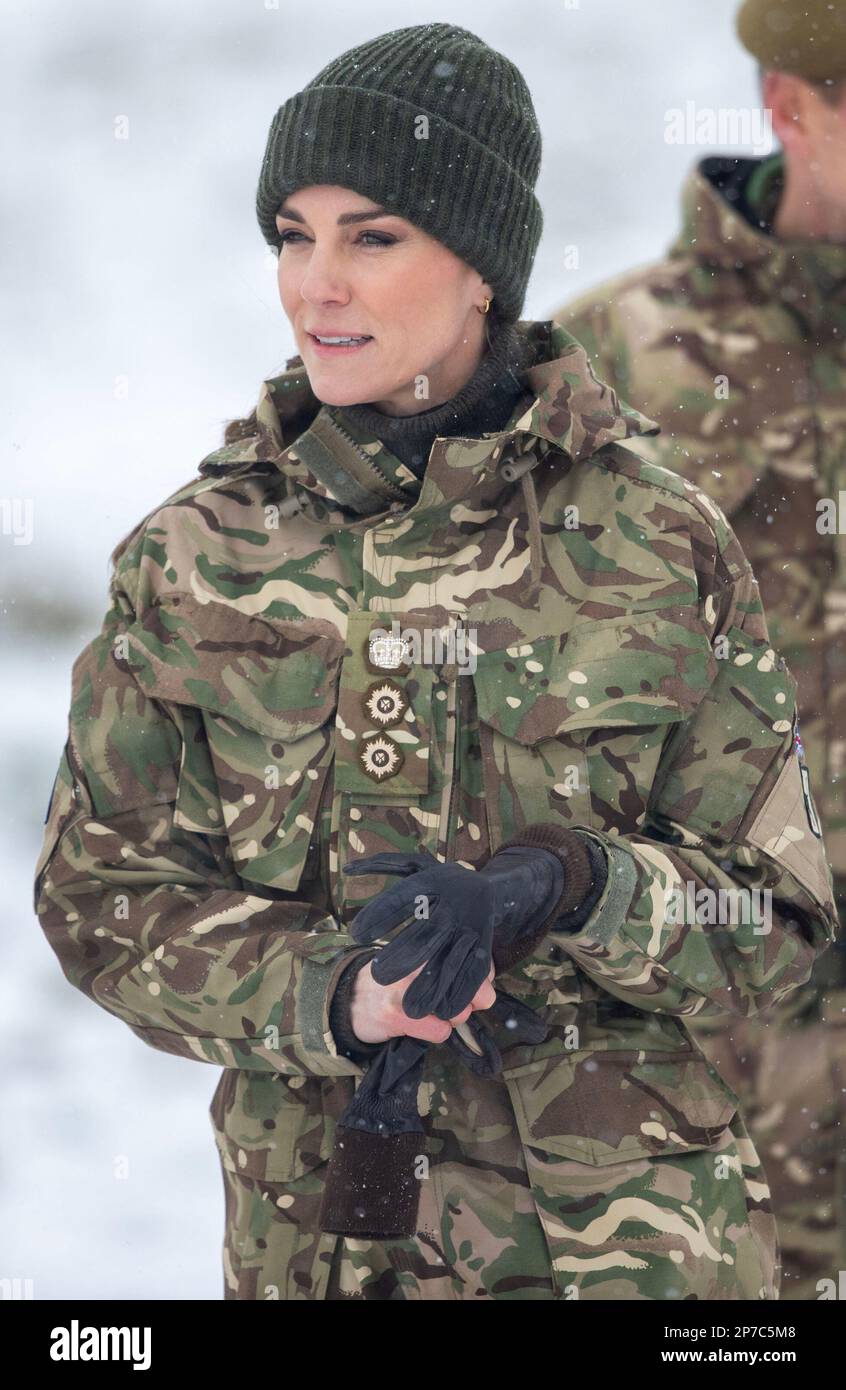 The Princess of Wales, Colonel of the Irish Guards, during her first ...