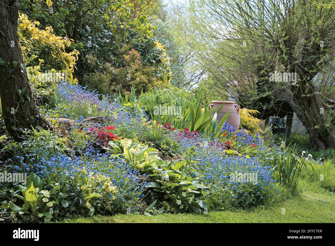 English cottage garden flower border Stock Photo - Alamy