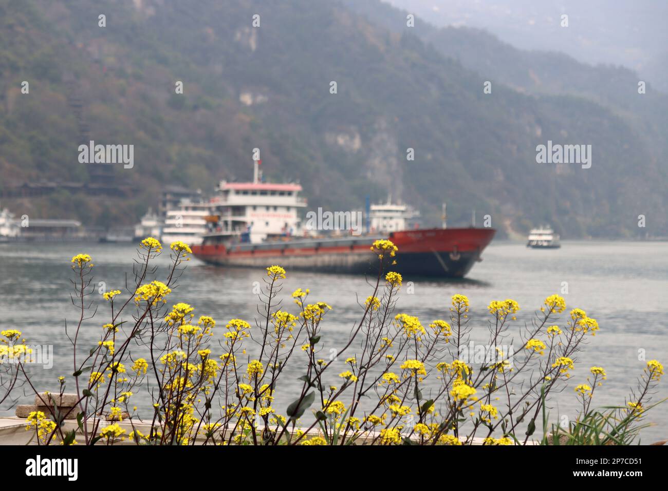 YICHANG, CHINA - MARCH 8, 2023 - Freight and cruise ships sail in the ...