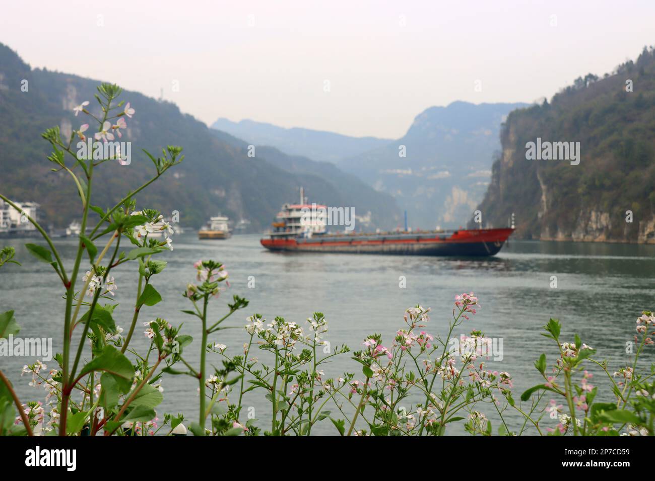 YICHANG, CHINA - MARCH 8, 2023 - Freight and cruise ships sail in the ...