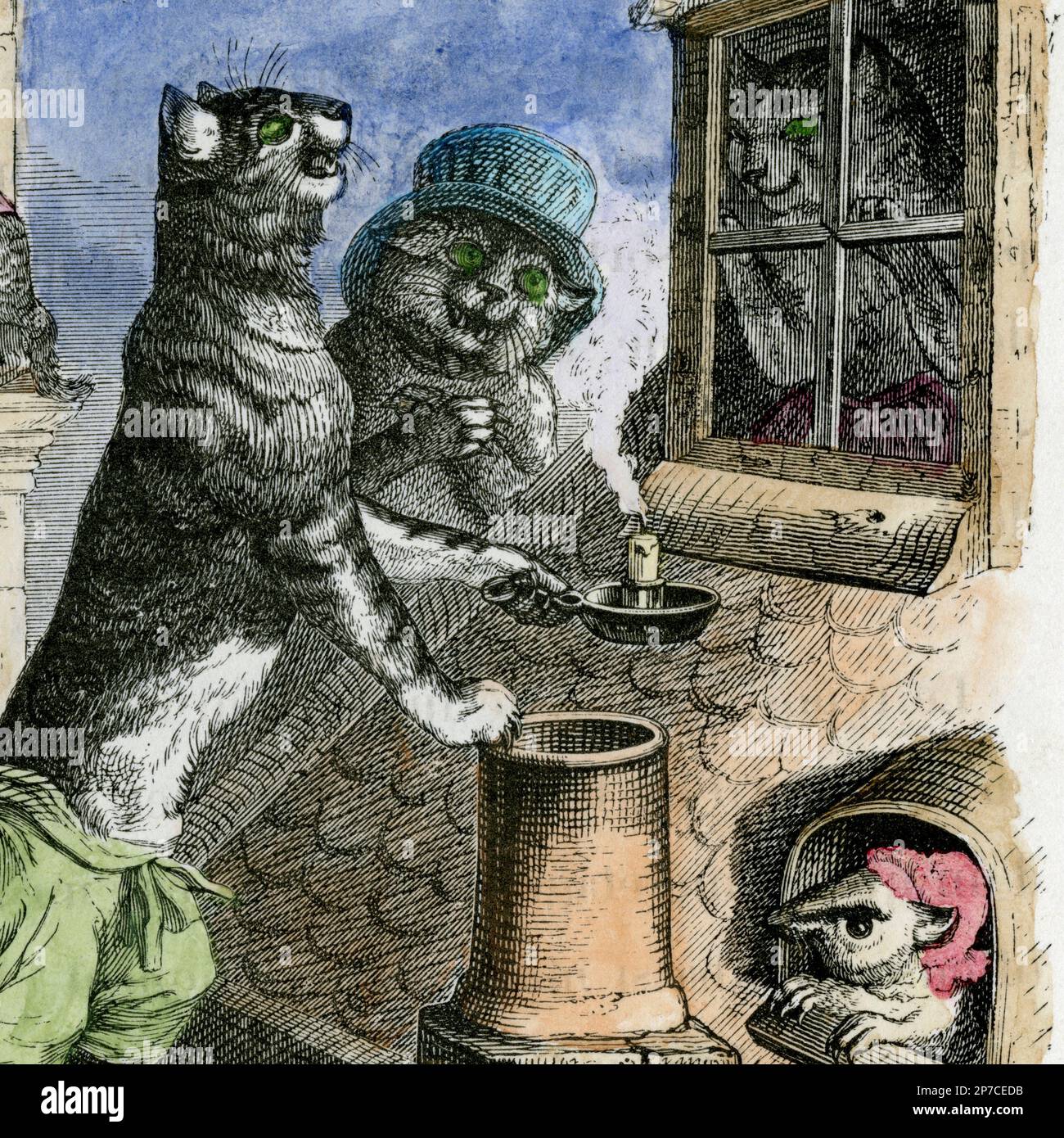 Feline romance: green-eyed cats, watched by woken rodent, serenade ...