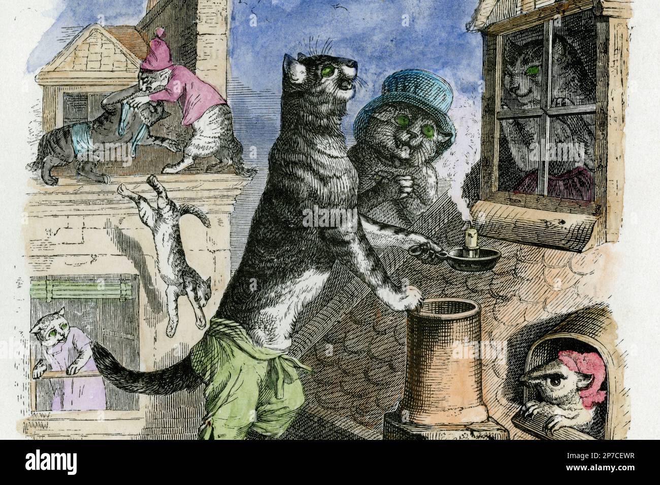 Fighting felines amid rooftop romance: green-eyed cats serenade ...