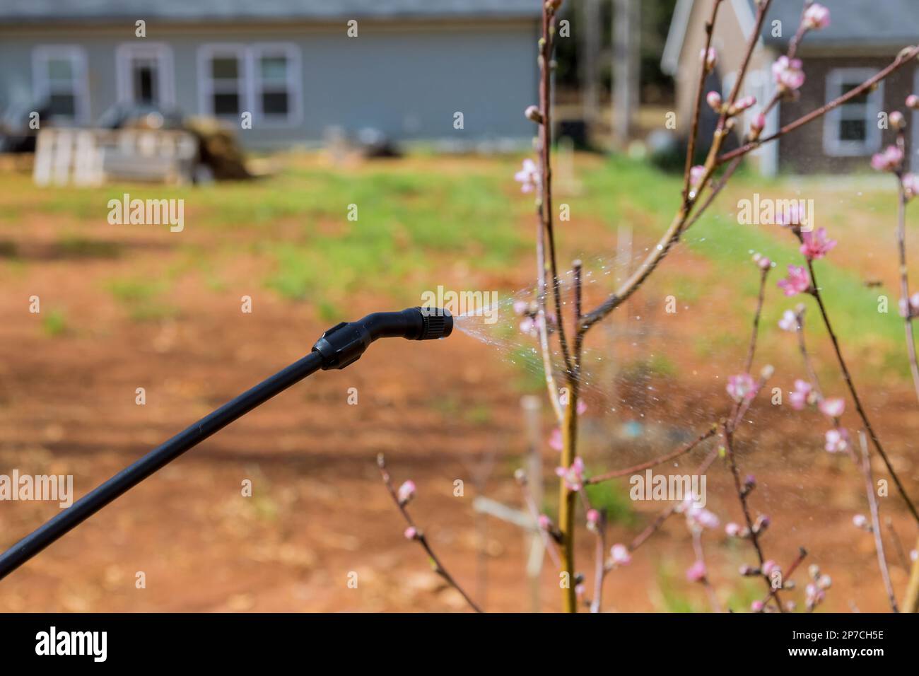 Spraying trees in spring protection hi-res stock photography and images ...