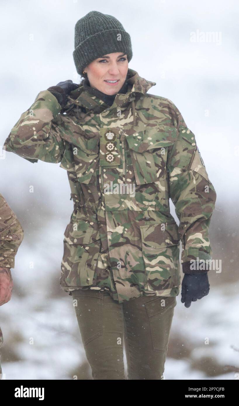 The Princess of Wales, Colonel of the Irish Guards, during a visit to ...