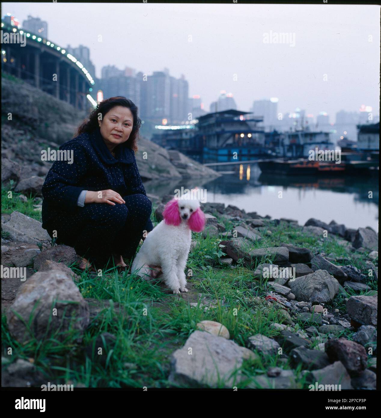 Li Shubi, who live in the luxury apartment behind, walks her pet dog at ...