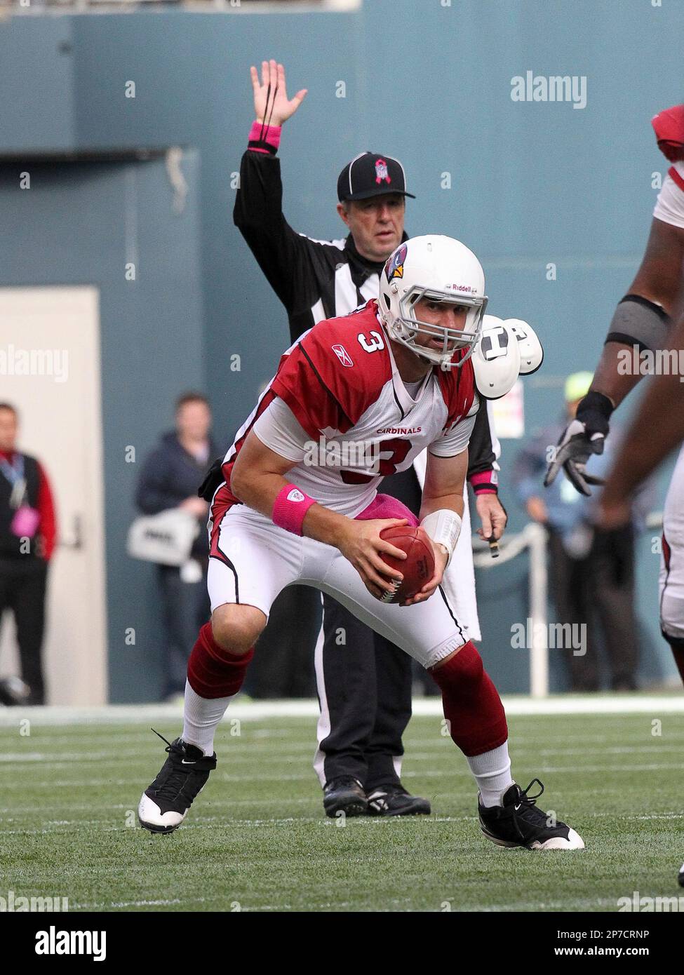 Arizona Cardinals quarterback Derek Anderson #3 during an NFL football ...