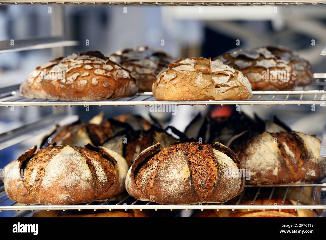 Assortiment of bread in a bakery - France Stock Photo - Alamy