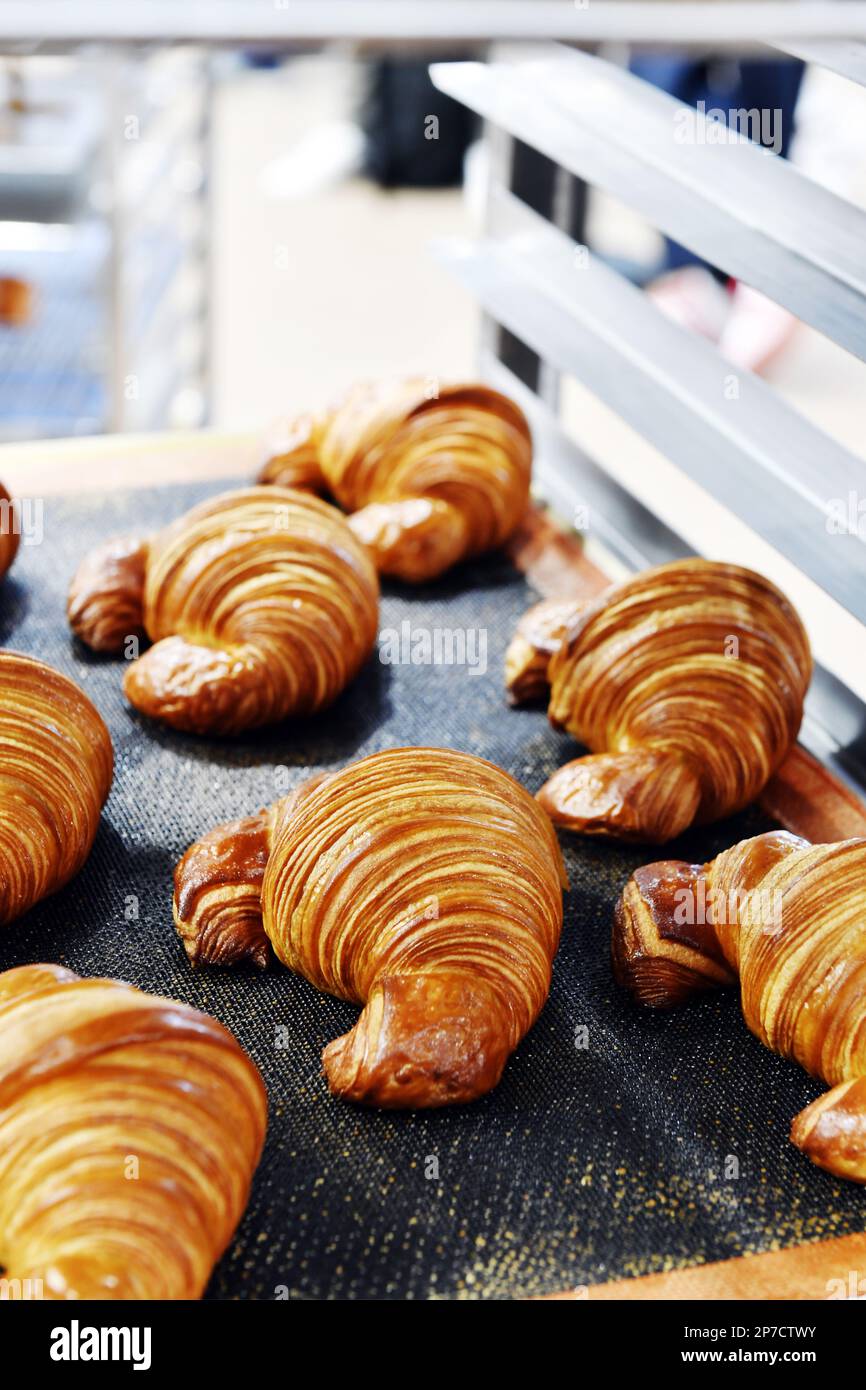 Authentic French croissants in a bakery - France Stock Photo - Alamy