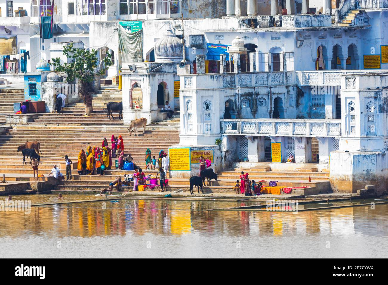 Pushkar, India - October 20, 2012: people at rituell washing in the ...