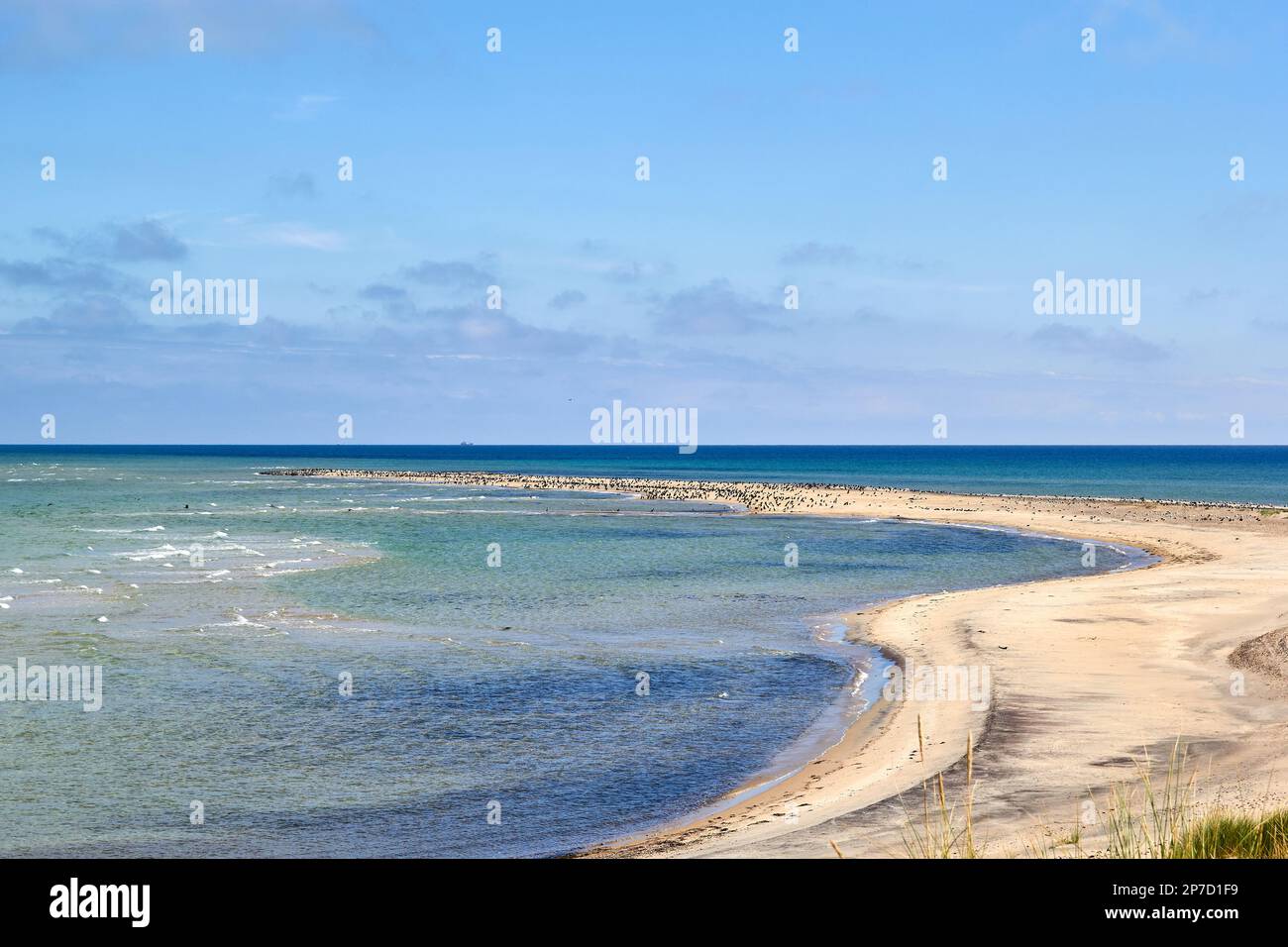 Seals anholt island hi-res stock photography and images - Alamy