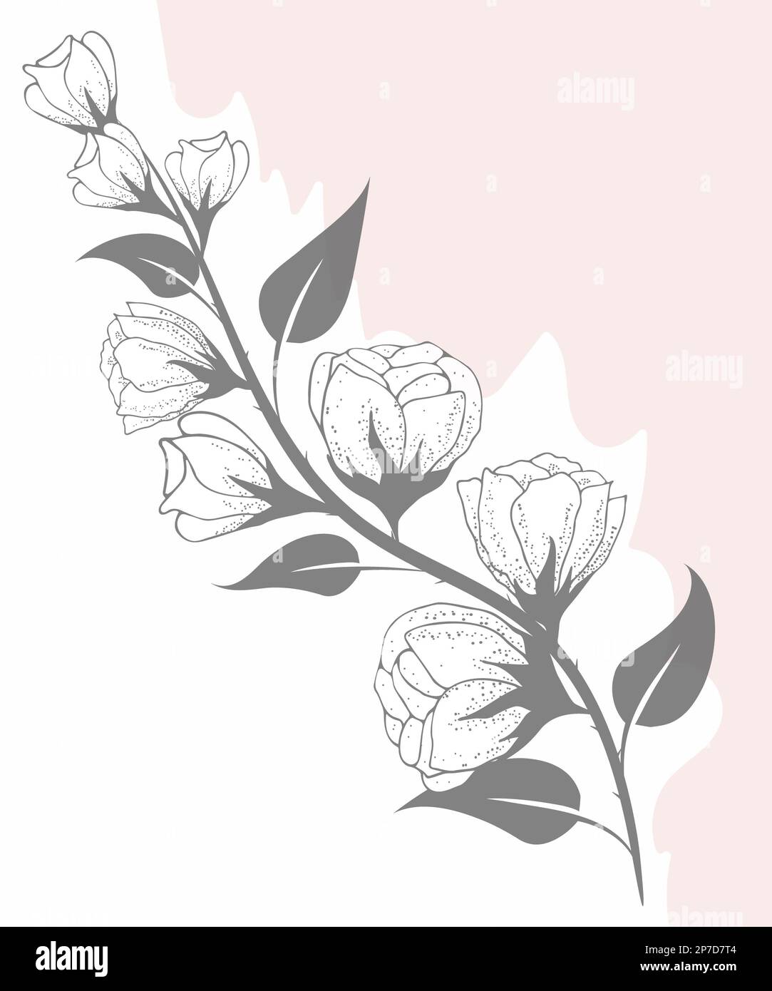 Stylized floral invitation, template with place for text. Hand-drawn ...