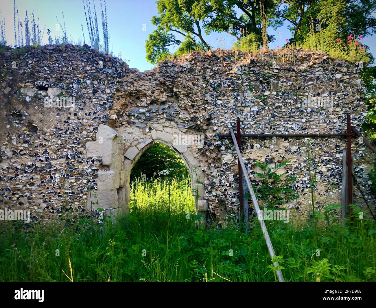 An idyllic landscape of a garden that has overgrown an English old ...