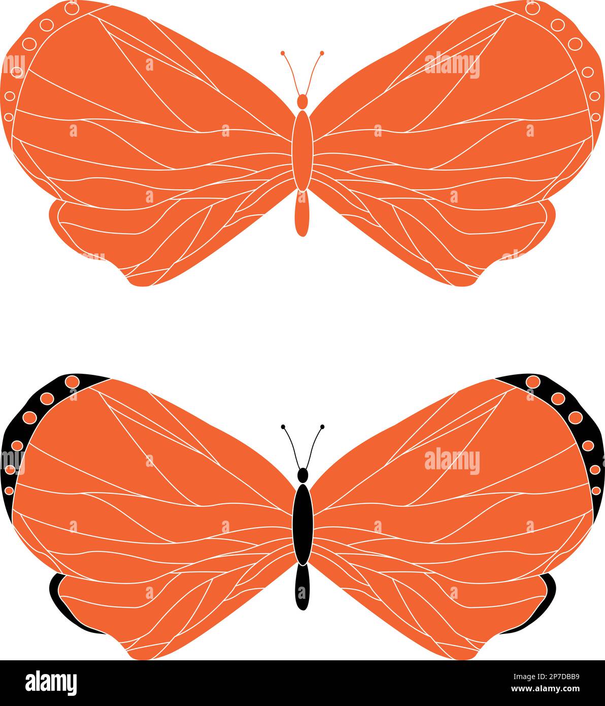 Set of decorative butterflies. Set of butterflies isolated without ...