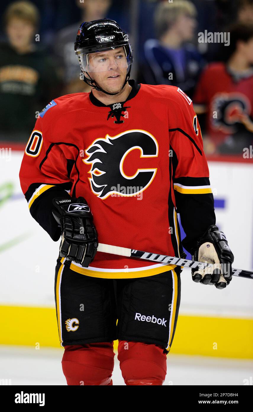 NHL player profile photo on Calgary Flames' Alex Tanguay during a ...
