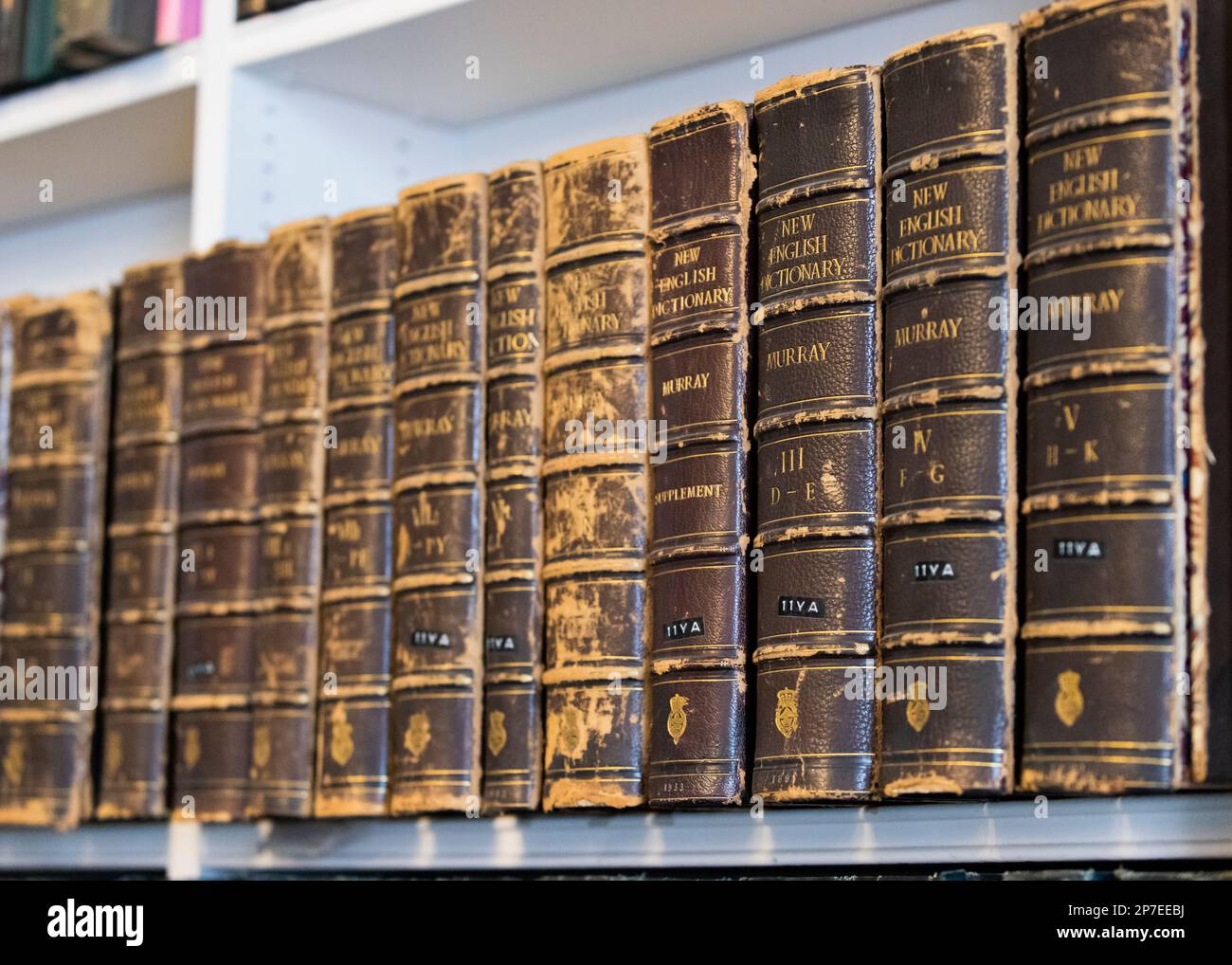 New English Dictionary Books in the Library Room at the Royal ...
