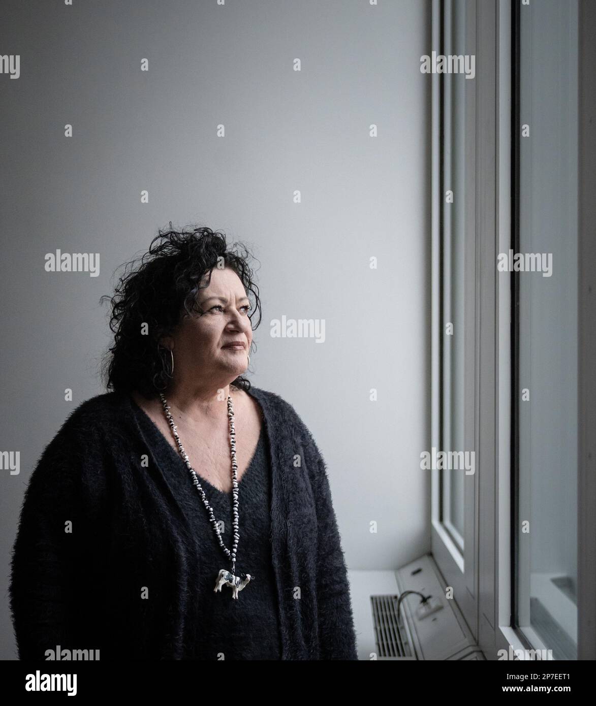 THE HAGUE - Portrait of Caroline van der Plas of the BoerBurger ...