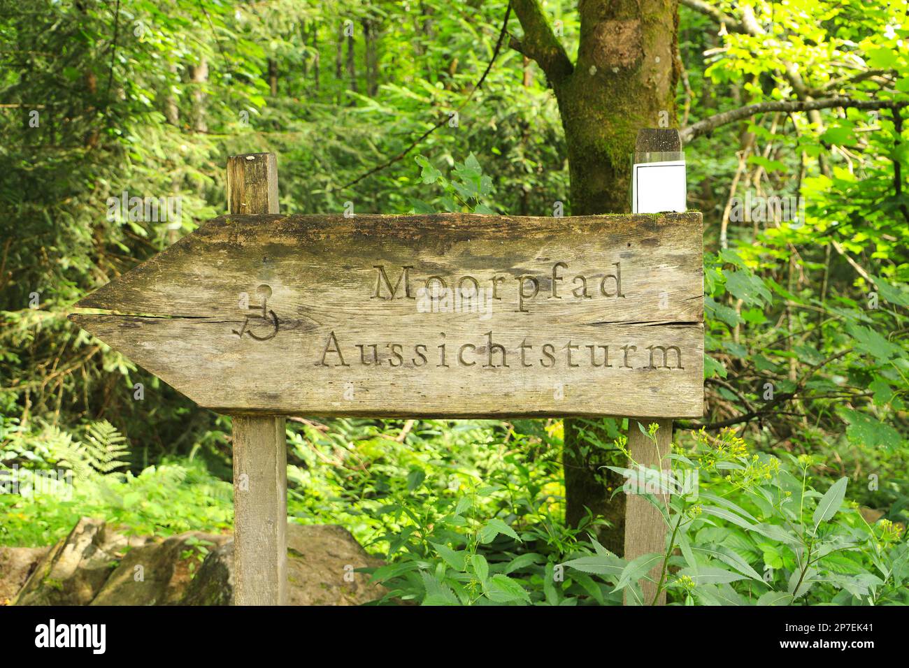 Guide post in Red Moor to the path through moor and observation tower ...