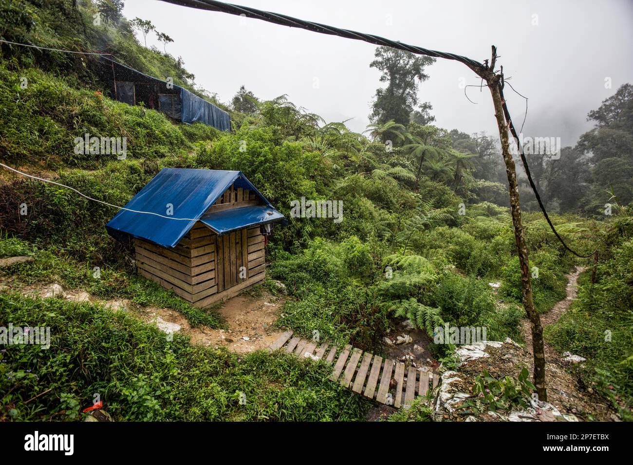 Inside an illegal gold mine hi-res stock photography and images - Alamy