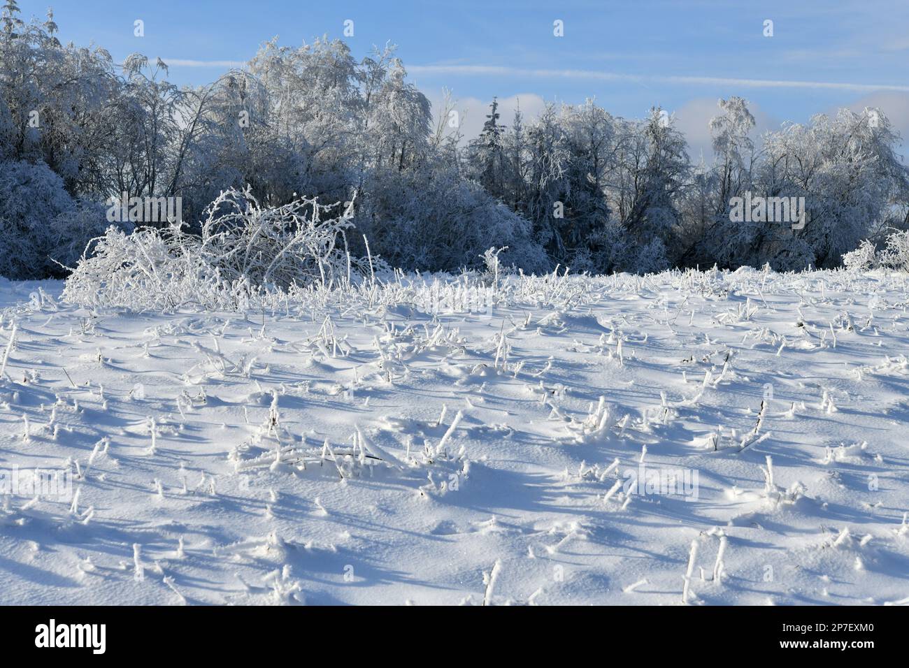 beautiful winter landscape in sunny weather Stock Photo - Alamy