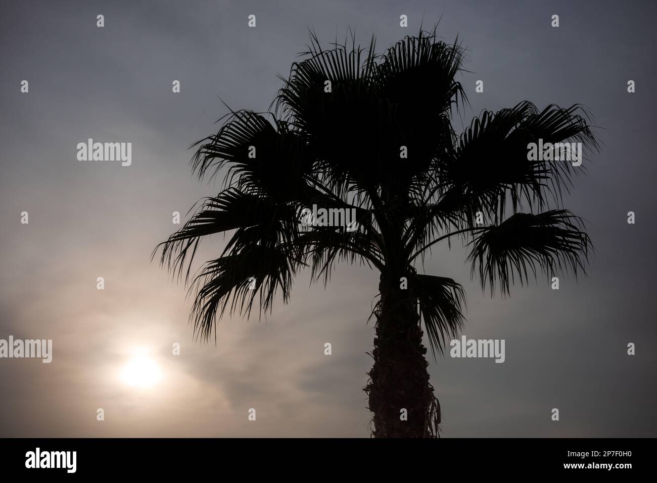 Resilience and fortitude hi-res stock photography and images - Alamy