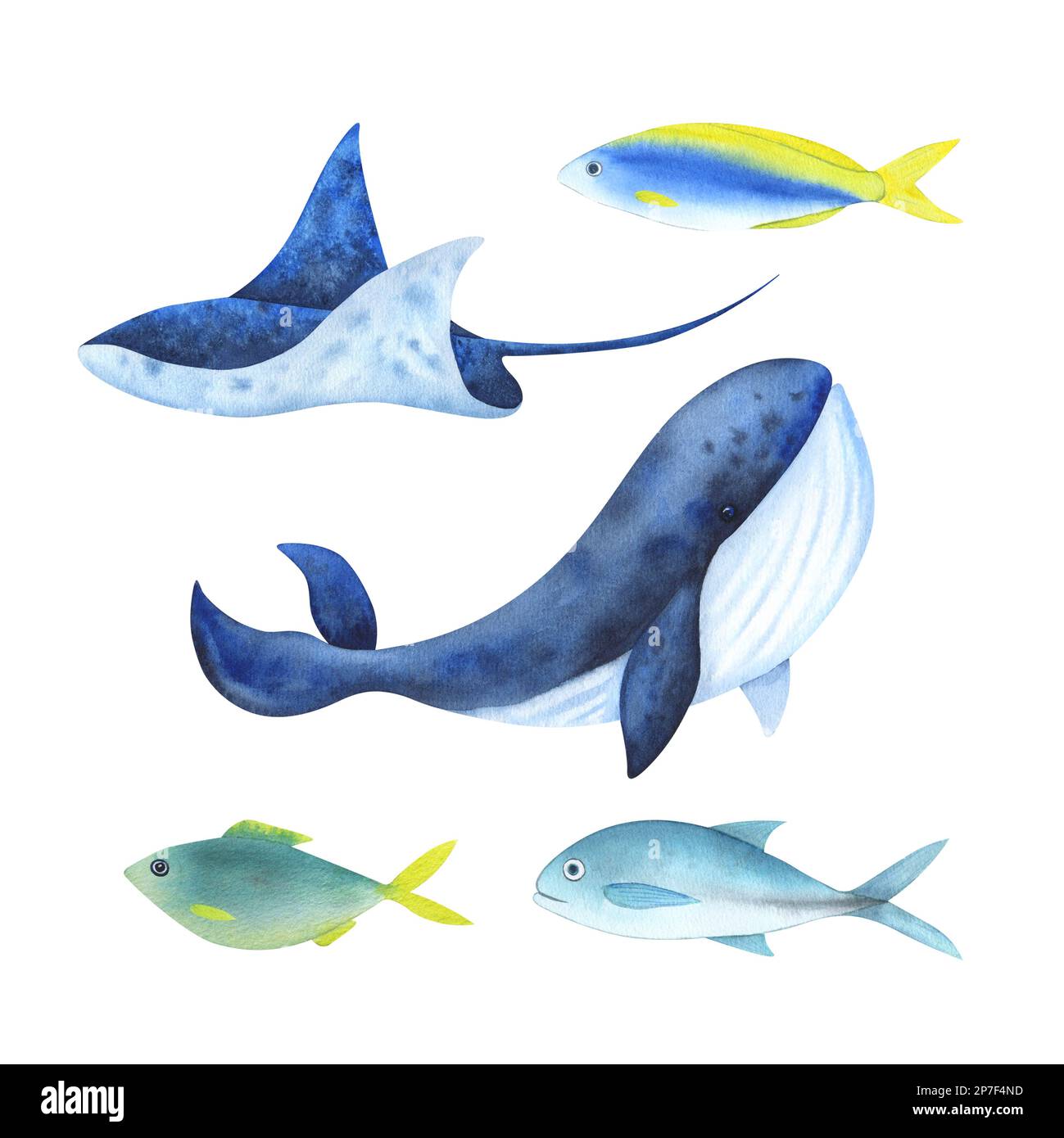 Set of marine animals painted in watercolor. Isolated illustration on a ...