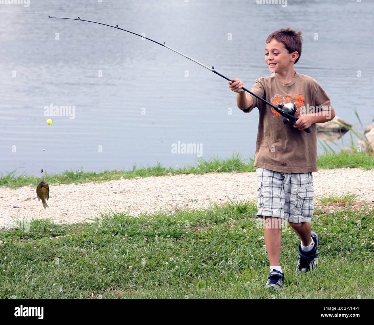 Nine-year-old Kade Zanger proudly looks over his catch as he walks over ...