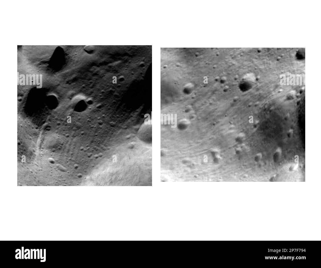 Luticia Rosetta Esa
