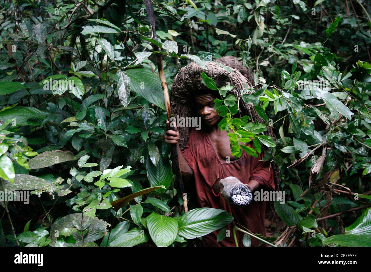 ***File*** In this March 19, 2010 photo, Kayo Mbuanji, an Mbuti pygmy ...