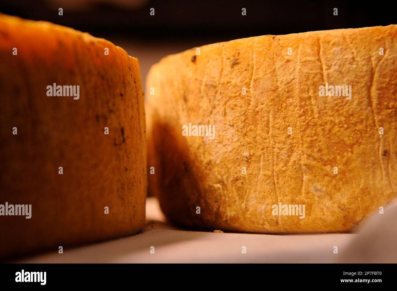 This June 23, 2010 photo shows cheese made at Wake Robin Farm in Jordan ...