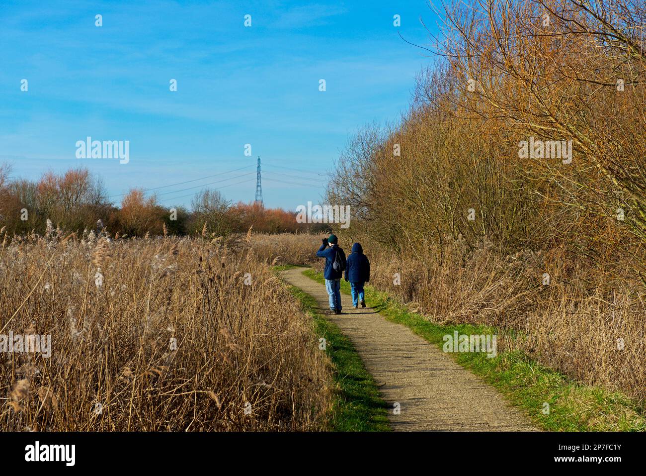 Blacktoft Sands, an RSPB nature reserve in East Yorkshire, England UK ...