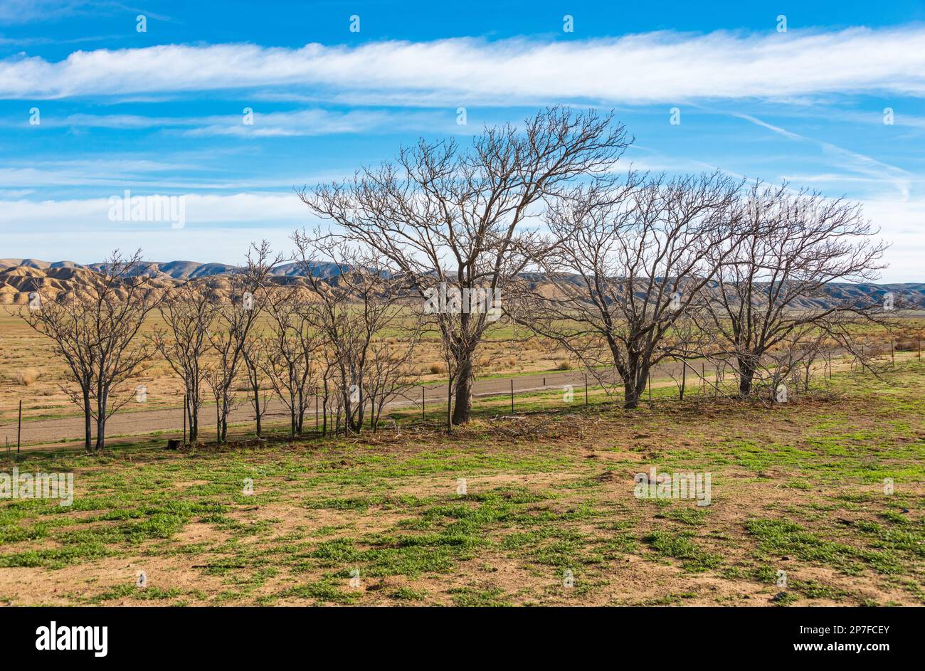 Carrizo Plain National Monument, California Stock Photo - Alamy