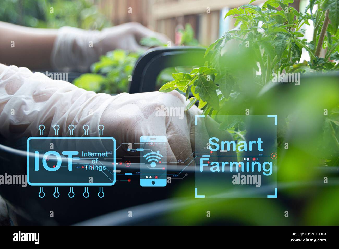The concept of new farming or smart farming, agricultural technology ...