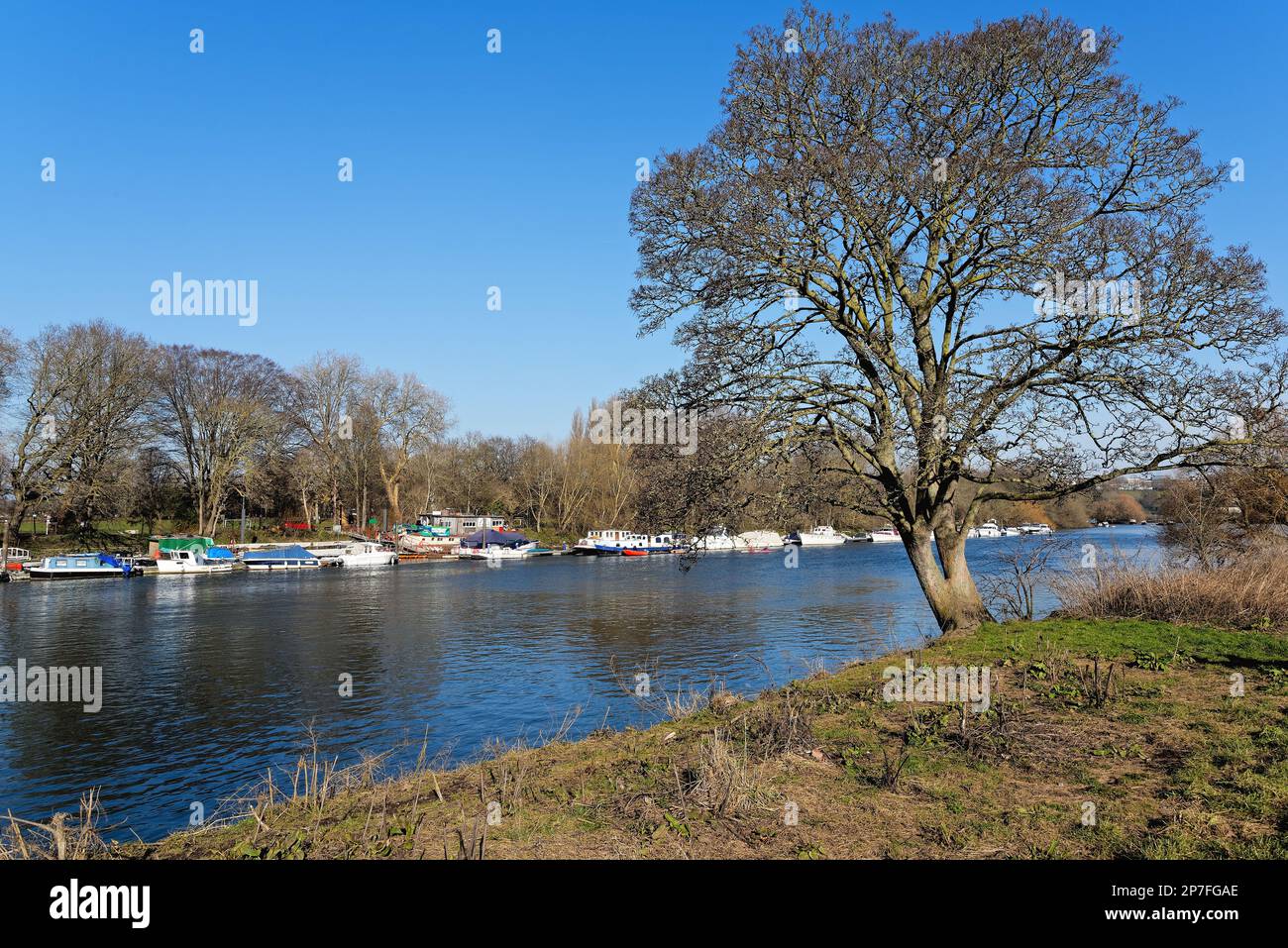 A sunny winters day by the River Thames at Ham Richmond Greater London ...