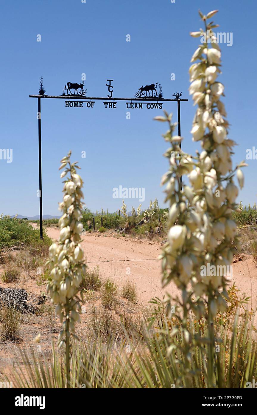 The 250,000-acre J.C.J. Ranch, headquarted in Dona Ana County, is made ...