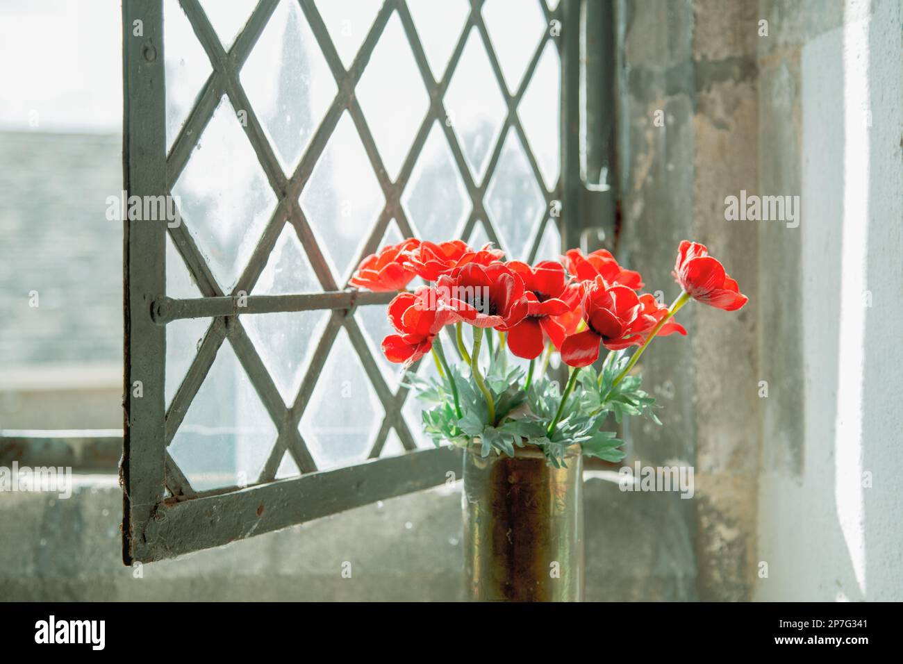A vase of red poppies standing next to an old open leaded glass window ...