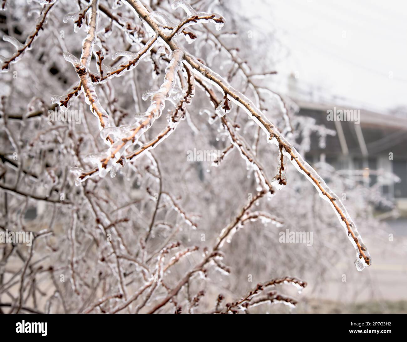 Insurance claims ice storm hi-res stock photography and images - Alamy