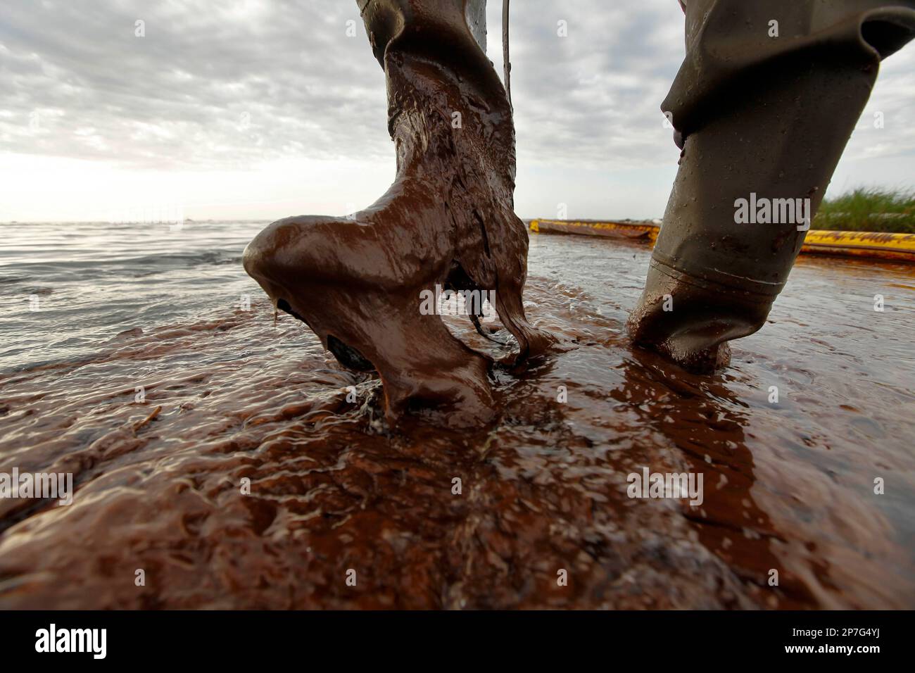 Plaquemines Parish coastal zone director P.J. Hahn lifts his boot out ...