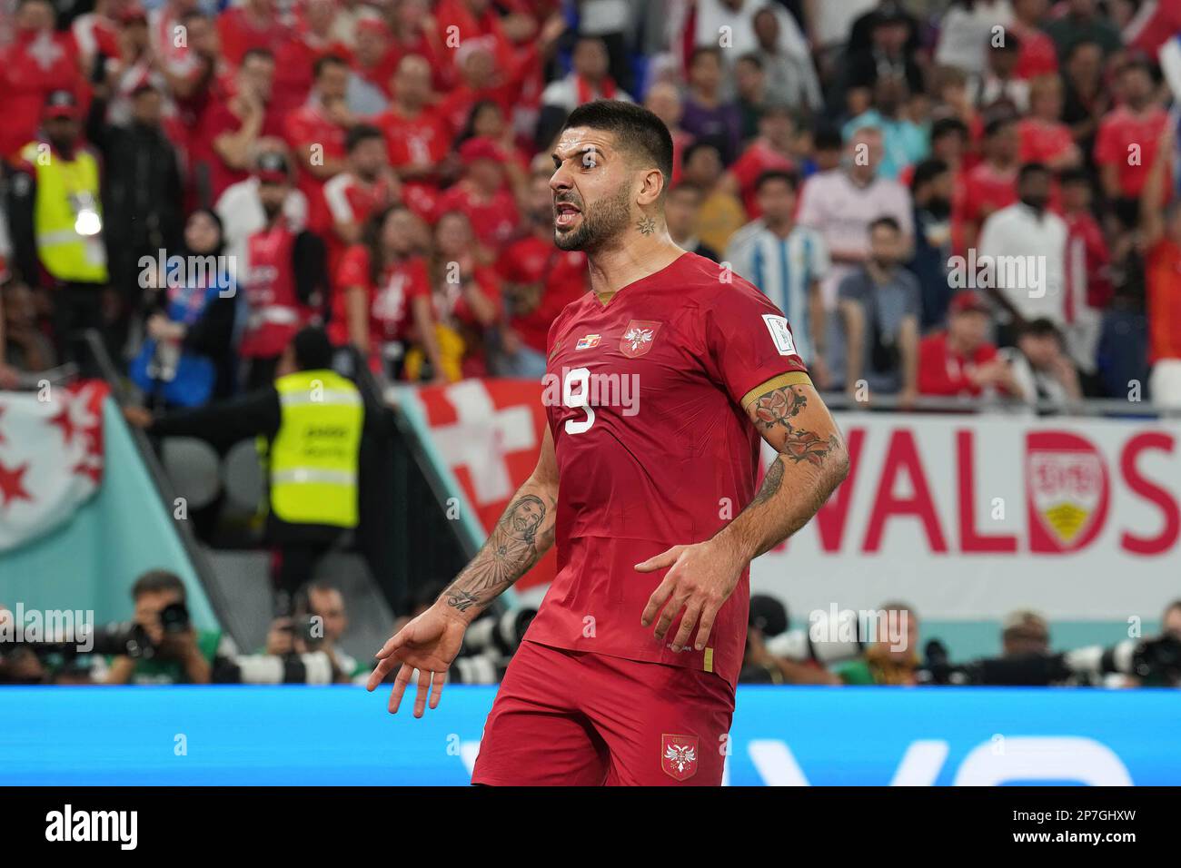 Aleksander Mitrovic of Serbia celebrates a goal during the FIFA World ...