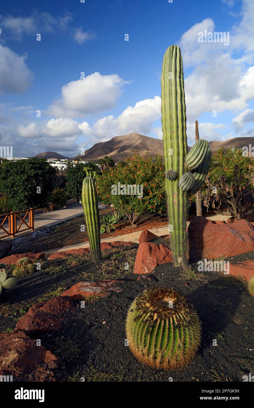 Hacha Grande and the mountains of Femes from Las Coloradas, Playa ...
