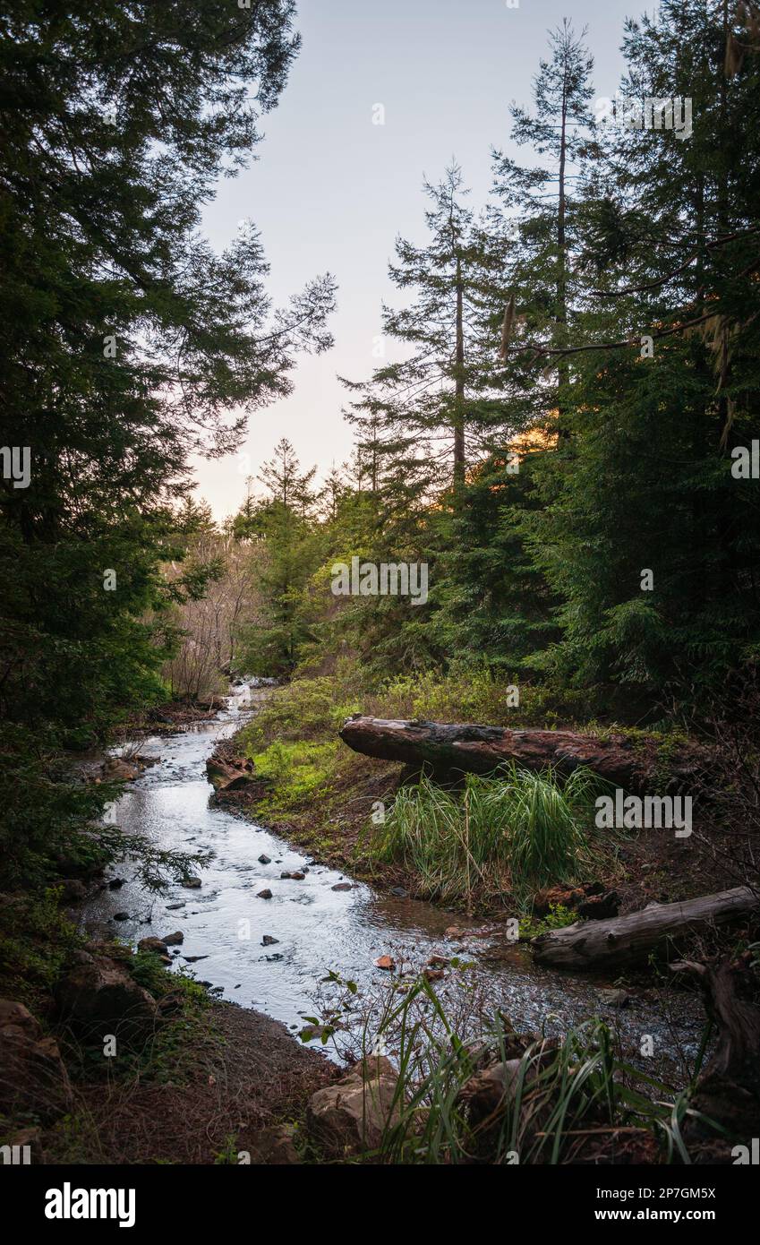 River Leading into the Pacific Ocean at Big Sur Stock Photo - Alamy