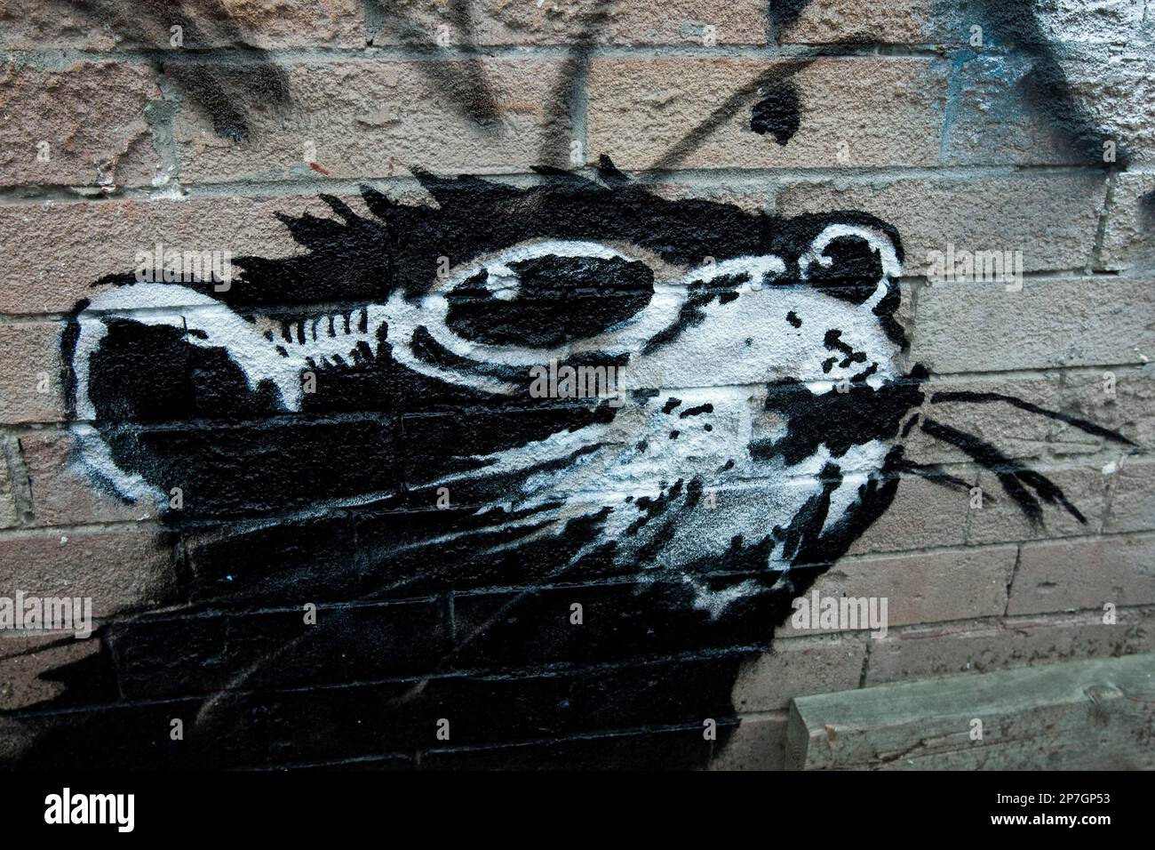 English Graffiti Artist