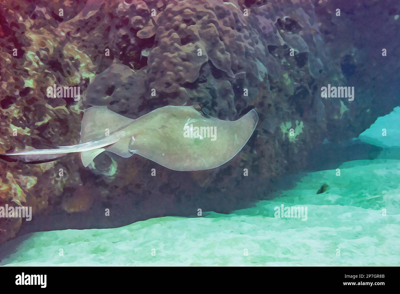 Digitally created watercolor painting of a common stingray flying ...